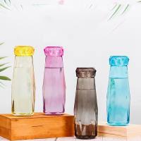 China 400ml Portable Glass Water Bottle with Straw for Office Camping Sports for sale