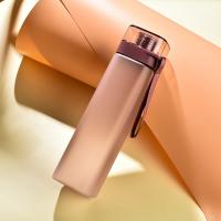 China PC Plastic Square Water Bottle 550ml 700ml Outdoor Sports Portable with Handle Rope for sale