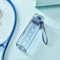 China Custom Logo Square Plastic Water Bottle 550ml 700ml with Rope for Travel for sale