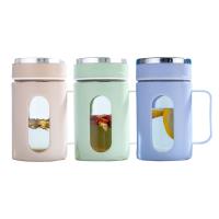 China Custom Logo Glass Water Bottle 500ml with Handle Leak-proof Hot Water Cup for Office Promotion for sale