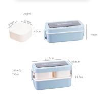 China Environment-friendly Advantage Reusable Portable Plastic Bento Lunch Box for All Ages for sale