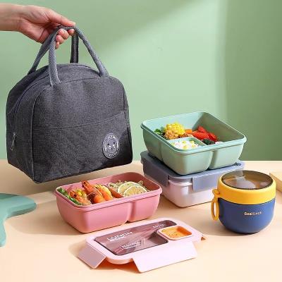 China Reusable Portable Plastic Bento Lunch Box 850ml 1100ml Leak Proof for Kids School for sale