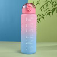 China 1000ml BPA Free Plastic Water Bottle with Time Marker and Straw for Sports for sale