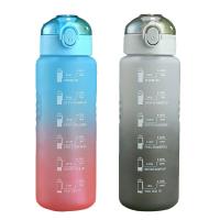 China 1000ml BPA Free Plastic Water Bottle with Time Marker and Straw for Sports for sale