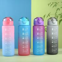 China 1000ml BPA Free Plastic Water Bottle with Time Marker and Straw for Sports for sale