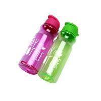 China 550ml PET Plastic Water Bottle Leak Proof Portable Outdoor Sports Bottle with Lock Button for sale
