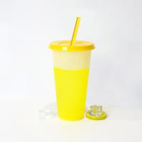 China BPA Free Plastic Coffee Cup 24oz Cold Water Bottle with Lid and Straw Reusable for sale