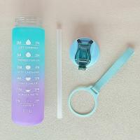 China PC Material 900ml Outdoor Sports Water Bottle with Straw and Time Stamp for sale