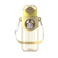 China 690ml Tritan Plastic Water Bottle with Double Spout and Leakproof Lid for sale