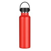 China Custom Stainless Steel Vacuum Sports Bottle 500ml 600ml 750ml Insulated Water Flask for sale