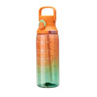 China PP Plastic Sports Water Bottle 750ml with Handle and Straw Direct Drinking Kettle for sale