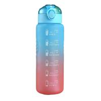 China 1000ml BPA Free Plastic Sports Water Bottle with Straw Progressive Color Outdoor Fitness Cup for sale