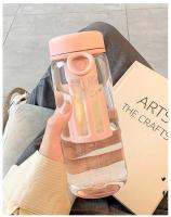 China PC Plastic Sports Water Bottle 450ml 600ml Leak Proof with Tea Strainer Custom Logo for sale