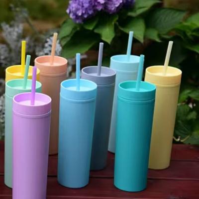 China 16oz BPA Free Plastic Water Bottle with Straw and Lid Custom Color Double Wall for sale