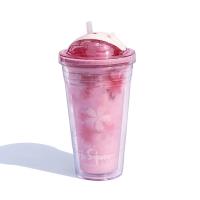 China Outdoor Camping Necessity 480ML Plastic Water Bottle with Custom Pattern and Straw for sale