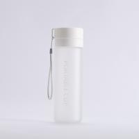 China OEM Custom 600ml 800ml Portable PC Plastic Water Bottle for Outdoor Sports Hiking for sale