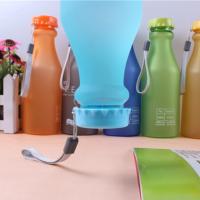 China Anti-corrosion Coating 550ml Frosted Sealed Plastic Water Bottle for Sports Students Custom Color for sale