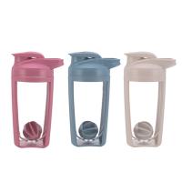 China 650ml BPA Free Plastic Sports Water Bottle Custom Color Stirring Cup for Active Lifestyles for sale