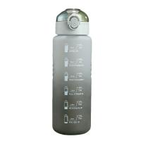 China BPA Free 1000ml Plastic Sports Water Bottle with Straw Custom Color for Outdoor Fitness for sale