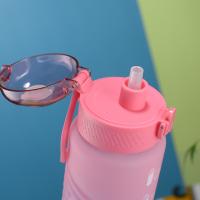 China BPA Free 1000ml Plastic Sports Water Bottle with Straw Custom Color for Outdoor Fitness for sale