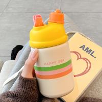 China 316 Stainless Steel Vacuum Insulated Bottle 500ml for Sports Outdoor Use for sale