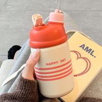 China 316 Stainless Steel Vacuum Insulated Bottle 500ml for Sports Outdoor Use for sale