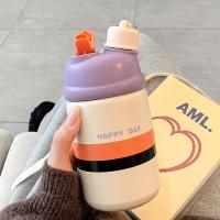 China 316 Stainless Steel Vacuum Insulated Bottle 500ml for Sports Outdoor Use for sale