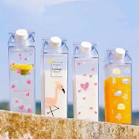 China Custom 500ml Food Grade Plastic Leakproof Water Bottle Clear for Outdoor Sports for sale