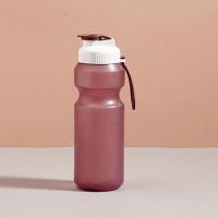 China Leakproof 500ml Clear Plastic Water Bottle with Customized Logo and BPA Free Material for sale