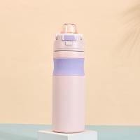 China 316 Stainless Steel Vacuum Insulated Water Bottle 580ml Cold Cup for Health Protection for sale