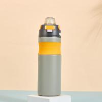 China 316 Stainless Steel Vacuum Insulated Water Bottle 580ml Cold Cup for Health Protection for sale