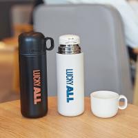 China 500ml 316 Stainless Steel Insulated Thermos Cup Vacuum Flask Modern Design for sale