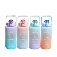 China 2000ml PETG Plastic Drinking Water Bottle with Straw Anti Corrosion Coating Custom Gradient for sale
