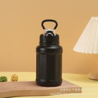 China Insulated Stainless Steel Water Bottle 700ml with Straw Custom Logo Outdoor Sports for sale