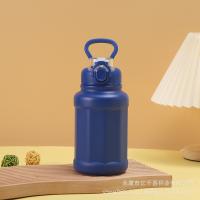 China Insulated Stainless Steel Water Bottle 700ml with Straw Custom Logo Outdoor Sports for sale