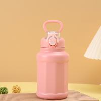 China Insulated Stainless Steel Water Bottle 700ml BPA Free Double Wall Vacuum Flask Custom Logo for sale
