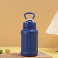 China Insulated Stainless Steel Water Bottle 700ml BPA Free Double Wall Vacuum Flask Custom Logo for sale