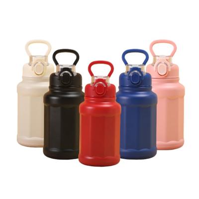 China 700ml Double Wall Insulated Stainless Steel Sports Water Bottle 304 Eco Friendly Camping for sale