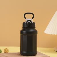 China 700ml Double Wall Insulated Stainless Steel Sports Water Bottle 304 Eco Friendly Camping for sale