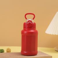 China 700ml Double Wall Insulated Stainless Steel Sports Water Bottle 304 Eco Friendly Camping for sale