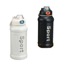 China 850ml Stainless Steel Water Bottle with Straw 18/8 Food Grade for Camping Fitness for sale