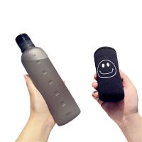 China BPA Free Plastic Water Bottle 500ml Anti-Corrosion Coating for Gym Outdoor Sports for sale