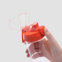 China Custom Logo Sports Water Bottle with Lid 500ml BPA Free for Outdoor Hiking Gym for sale