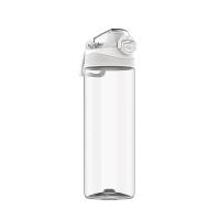 China Custom Logo Sports Water Bottle with Lid 500ml BPA Free for Outdoor Hiking Gym for sale