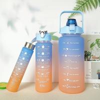 China 3-Piece PE Water Bottle Set 2000ml 900ml 300ml Eco-Friendly Durable BPA-Free Plastic for sale