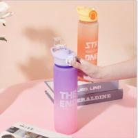 China 1000ml Plastic Sports Water Bottle with Time Marker Outdoor Travel Drinking Bottle Custom Logo for sale
