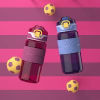 China Tritan Thermal Insulation Sport Water Bottle 550ml Eco Friendly Outdoor Reusable for sale