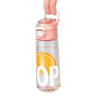 China Custom Tritan Plastic Water Bottle 480ml with 316 Stainless Steel Strainer for Kids for sale