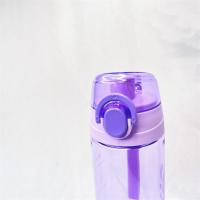 China Tritan 600ml Plastic Sport Water Bottle with Handle Rope for Gym Outdoor for sale