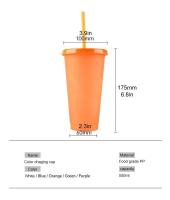 China 24oz BPA Free Color Changing Plastic Tumbler with Lid and Straw Custom Print for sale